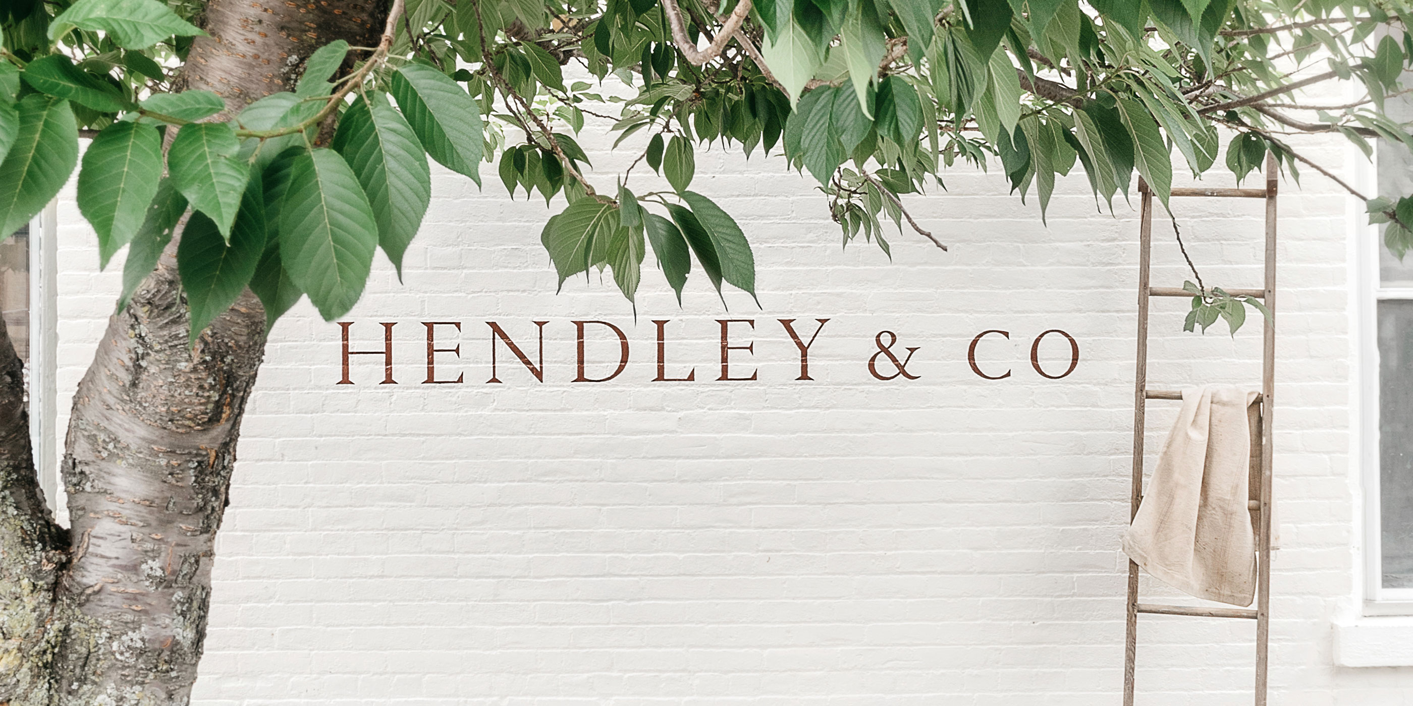 Hendley & Co Case Study – Bone