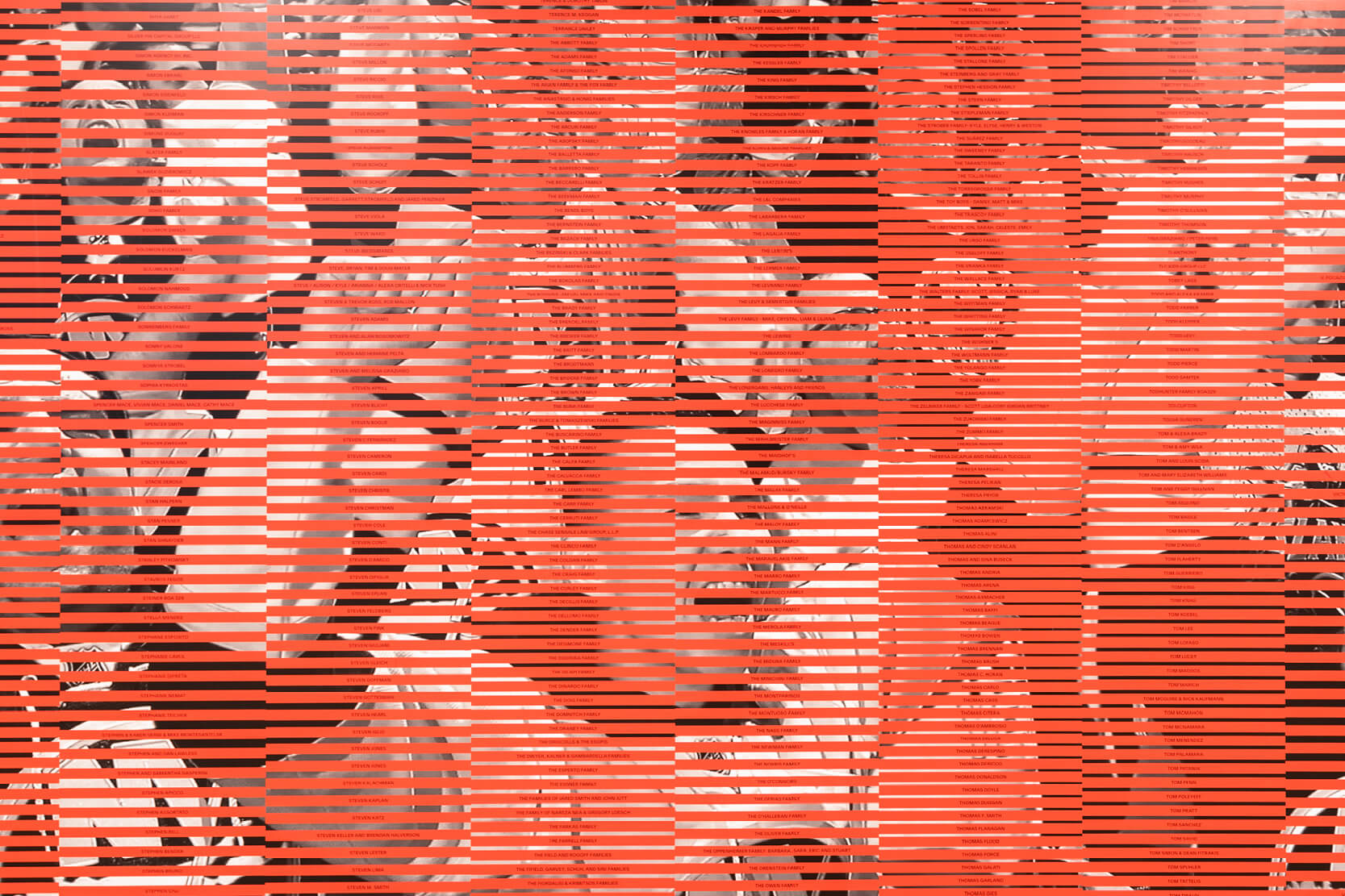 Branded Environments – Bone