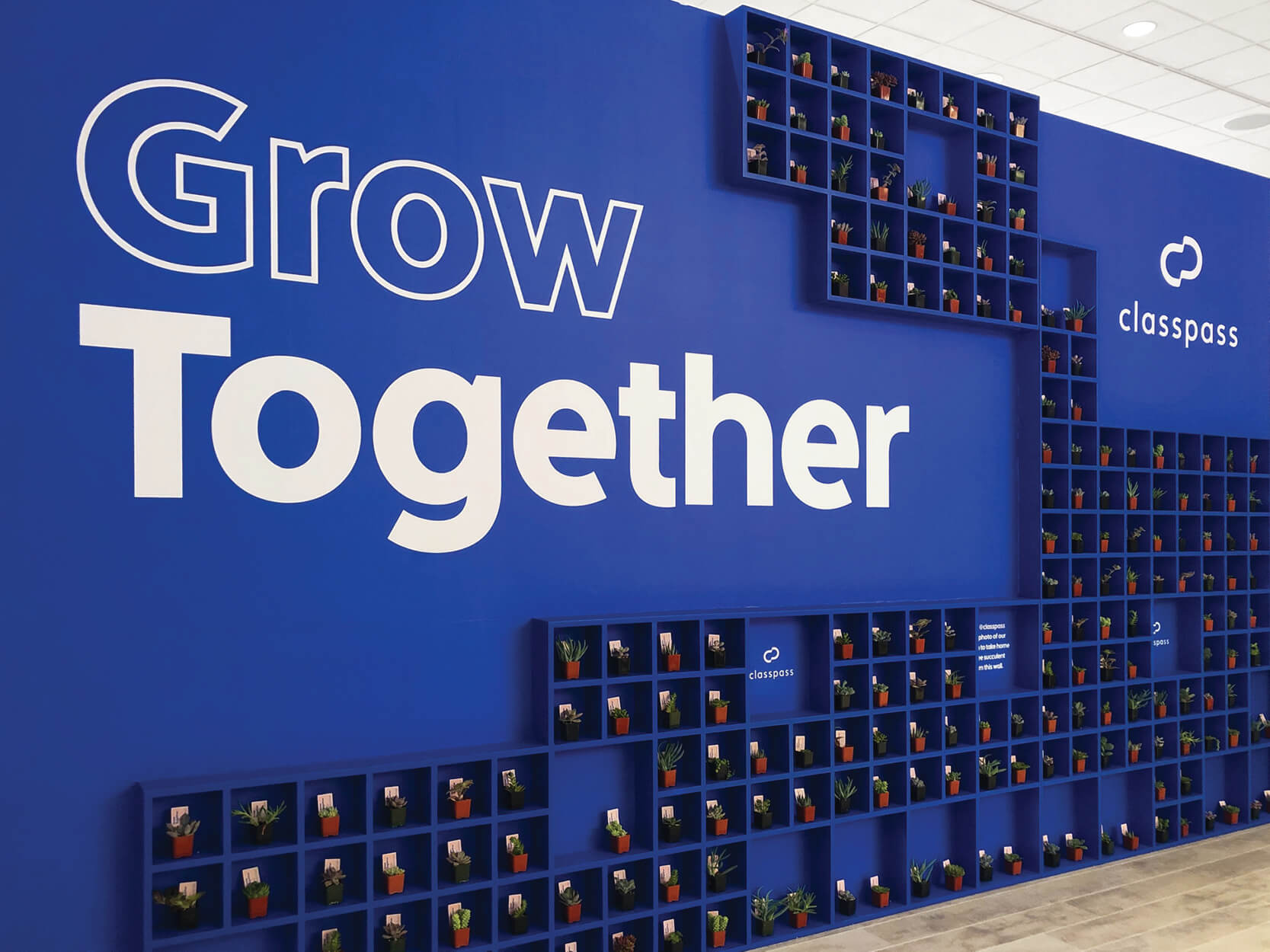 Branded Environments – Bone